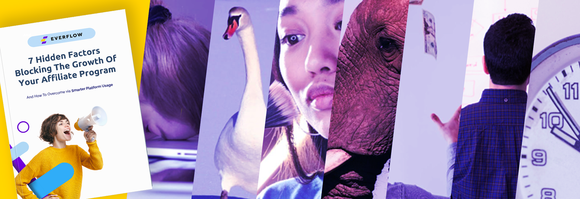 Everflow - Partner Marketing Platform